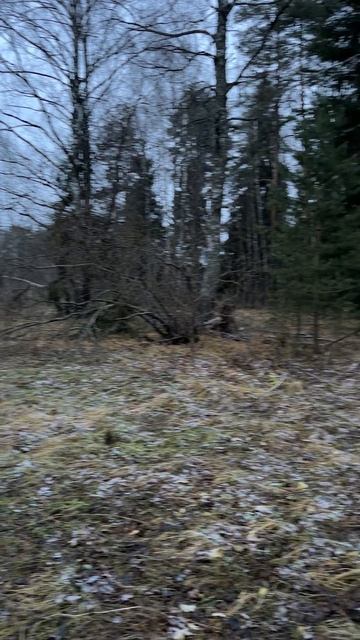 anzl.ru - необходимость межевания земельных участков.