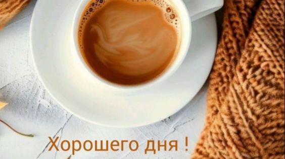 Добрый день хорошего дня | Короткая видеооткрытка с теплыми словами