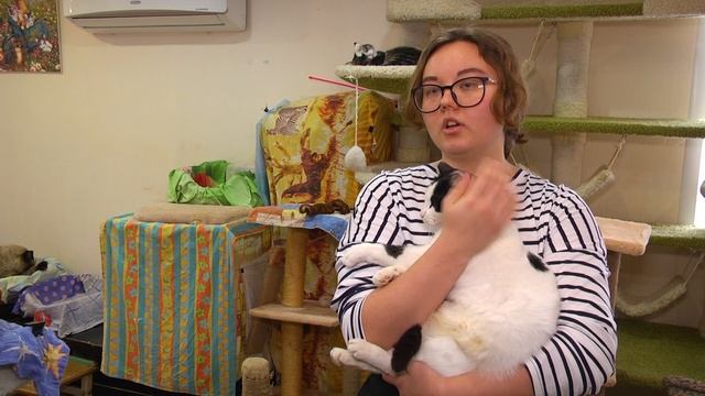 Ищу тебя, хозяин. 09-12-2025