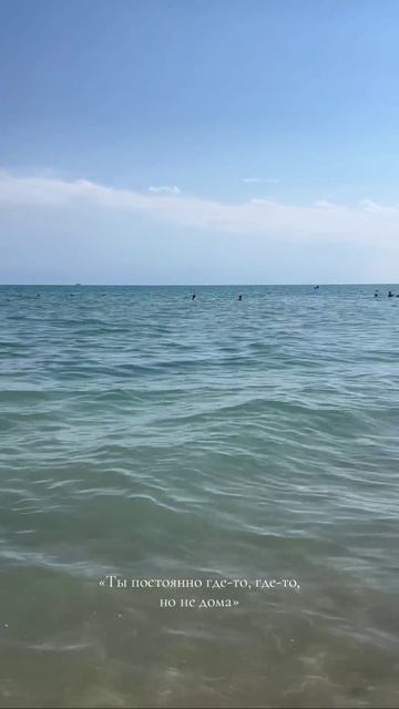 Быть активистом в универе - это...