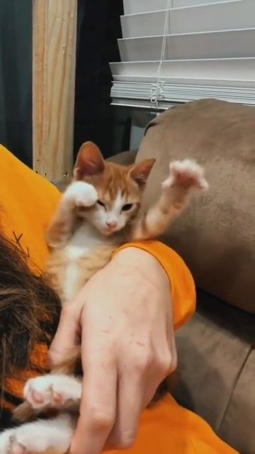 Утренняя разминка