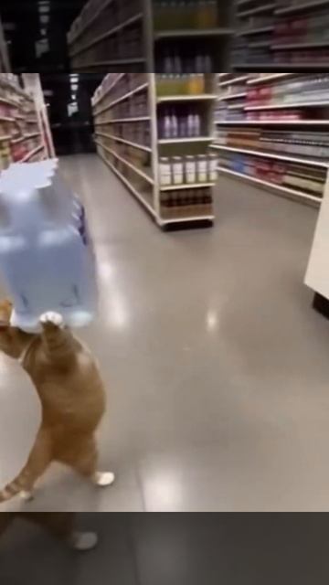 ИИ украл водку