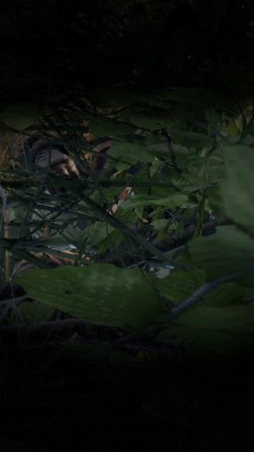 ОДИН ПРОТИВ ЦЕЛОГО ОТДЕЛЕНИЯ. ИВЕНТ С ОДНОЙ ЖИЗНЬЮ. #armareforger #shermanarma