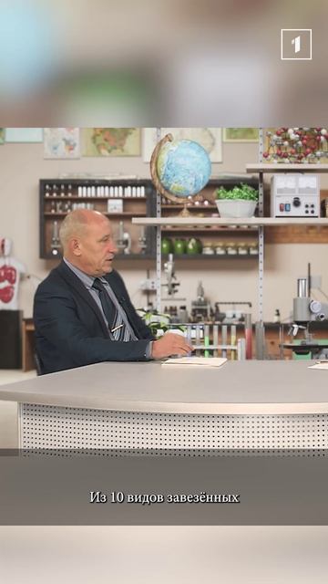 🛸 «Судьба «пришельцев»