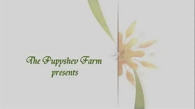 Как быстро просто и легко обрезать без болгарки, пыли, шума, электричества черепицу и её укладка