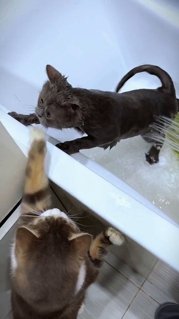 Саня, ты в порядке?