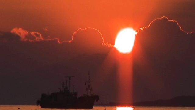 Выхухоль. "Подарок для дервиша"