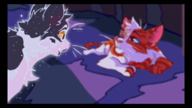 КОТЫ-ВОИТЕЛИ!😺❤️😺❤️😺❤️