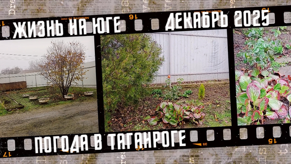 Жизнь на юге, наша стройка. Погода в городе Таганроге.