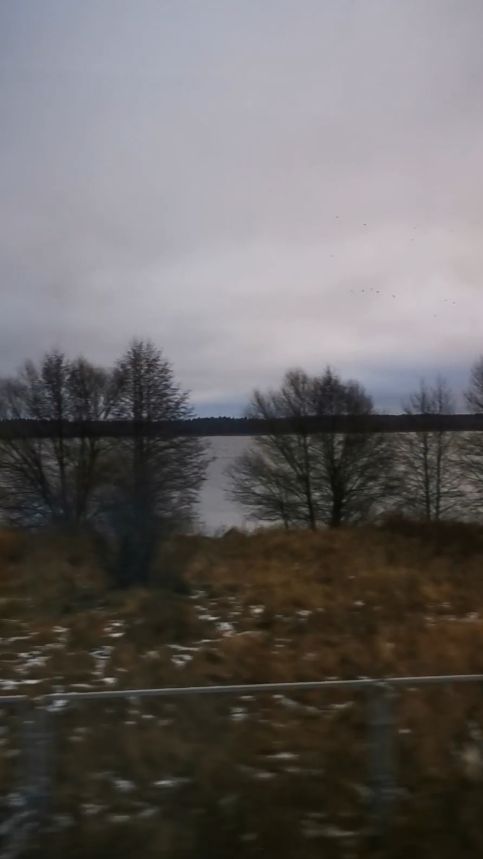 Из окна поезда, Иваньковское водохранилище #поезд #путешествие #Россия #осень #красота #ласточка