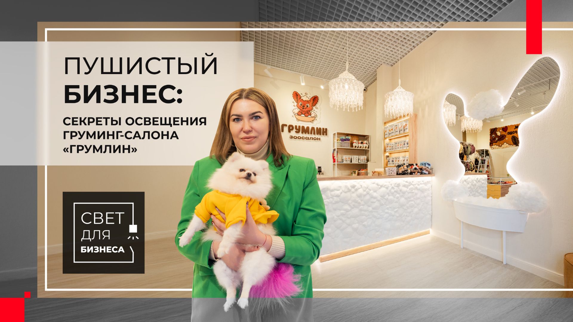 Свет для бизнеса: что скрывает успешный груминг-салон? 5 световых фишек «Грумлина»