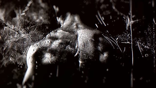 НЕО. Семин_DESSAR_Штерк