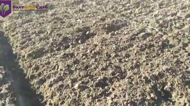 Борона МИКС-8 в работе