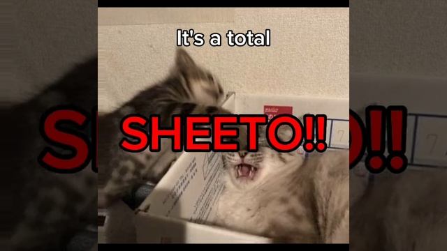 Что-то на анимешном