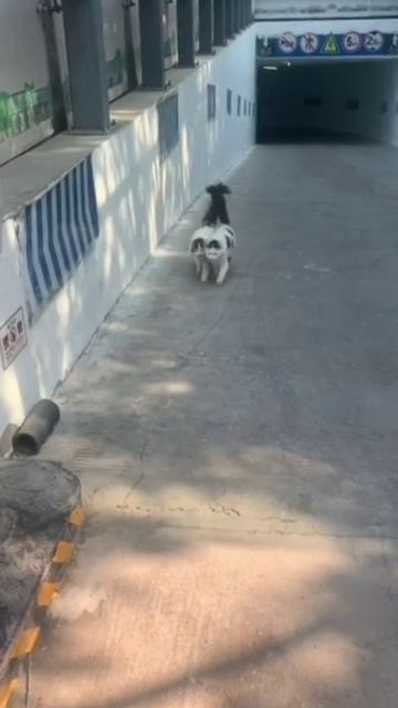 Вот это притяжение! 🤣