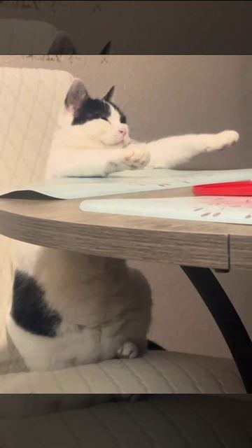 Обэд будет или как?