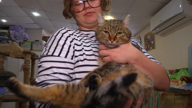 Ищу тебя, хозяин