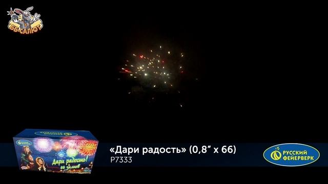Фейерверк Р7333 Дари радость! (0,8" х 66)