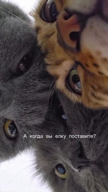 Мы хотим уже её завалить 😅