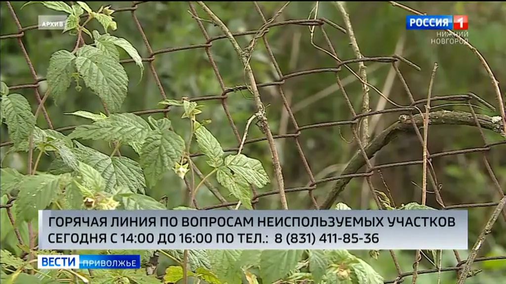 Нижегородцам расскажут о новых правилах для неиспользуемых земель