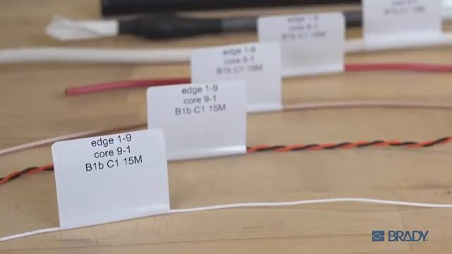 Обзор: принтер-аппликатор BRADY A5500 для флажковой маркировки