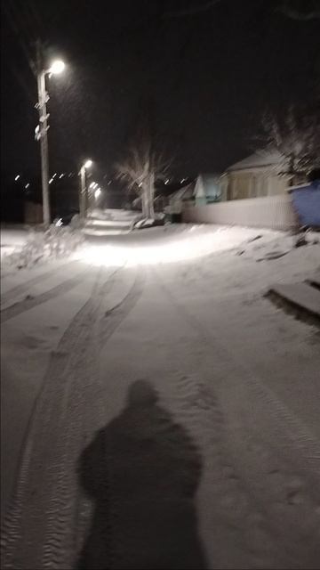 У нас выпал первый снег. 10.12.2025.