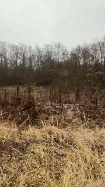 Земельный участок 8.2 сотки с бревенчатым строением, свет и газ по границе, СНТ Урожай, д. Следнево.