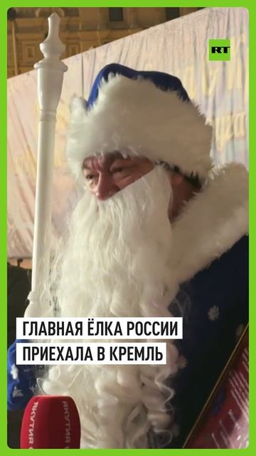 В Кремль доставили главную ель страны