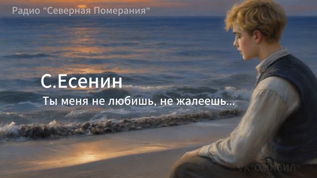 Ты меня не любишь не жалеешь. Песни на стихи Сергея Есенина. Северная Померания #Есенин #AIпесня