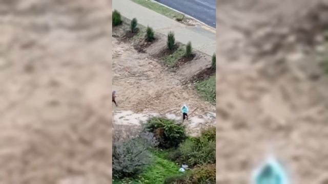 Жители большого жилого массива в районе проспекта Античный каждый день ходят по колено в грязи