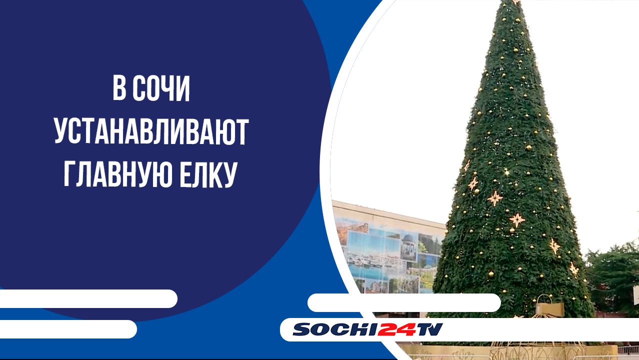 В Сочи устанавливают главную елку