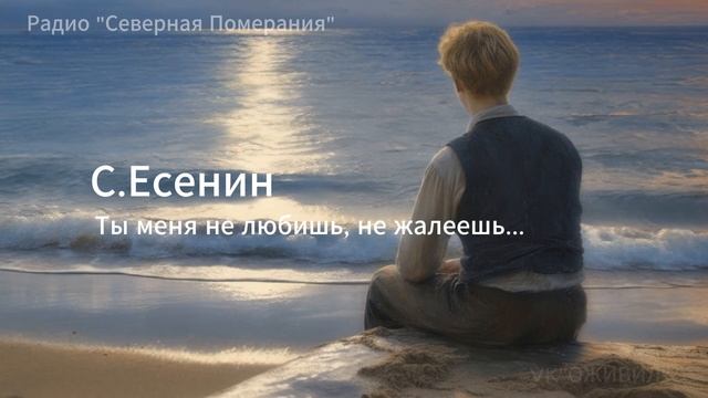 Ты меня не любишь не жалеешь (2). Песни на стихи Сергея Есенина. Северная Померания #Есенин #AIпесня