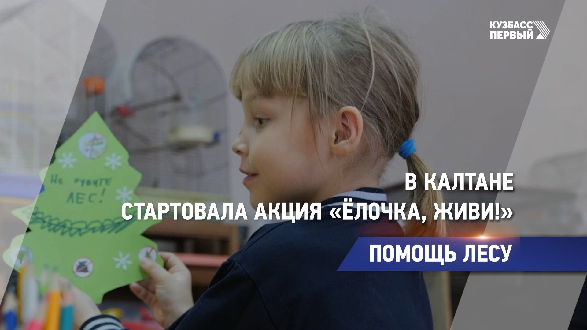 Помощь лесу