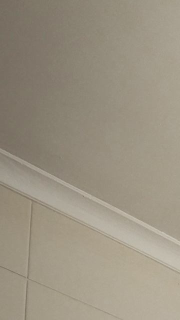 Шум на крыше 2025_12_11_Воронцовский11к3_02-47