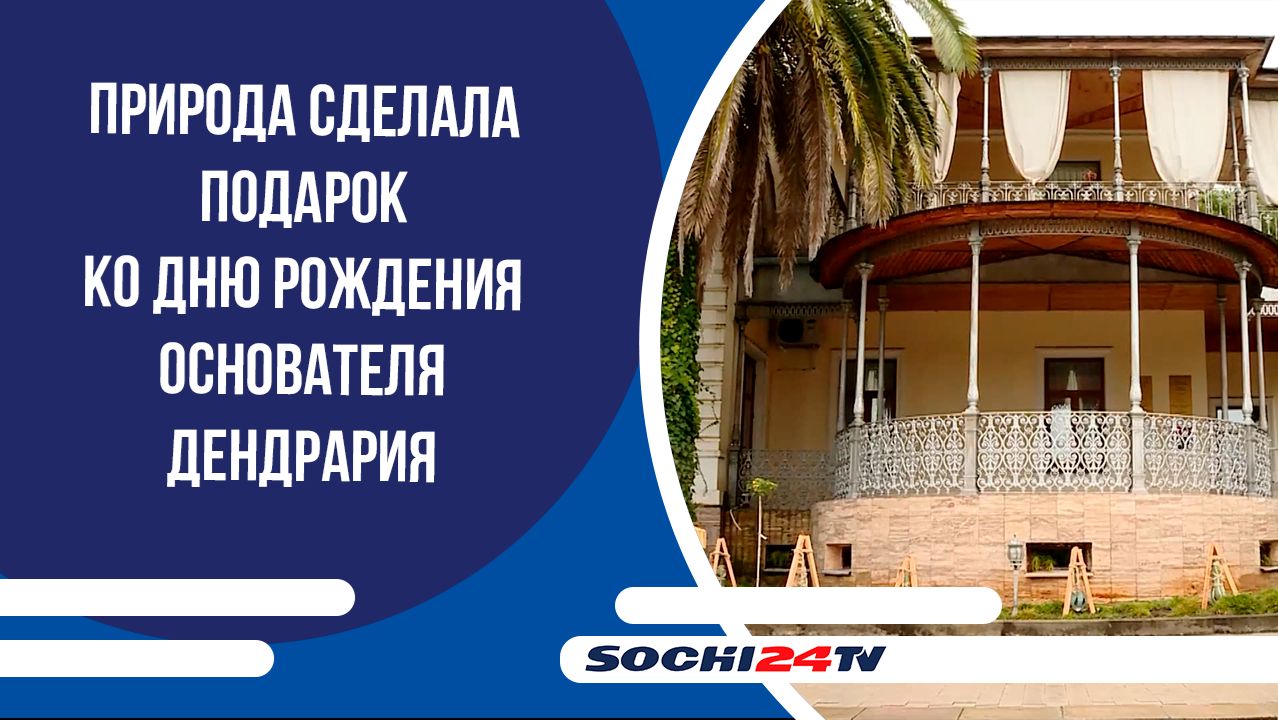 Природа сделала подарок ко дню рождения основателя Дендрария