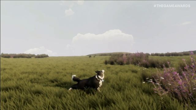 The Free Shepherd — дебютный трейлер (TGA 2025)