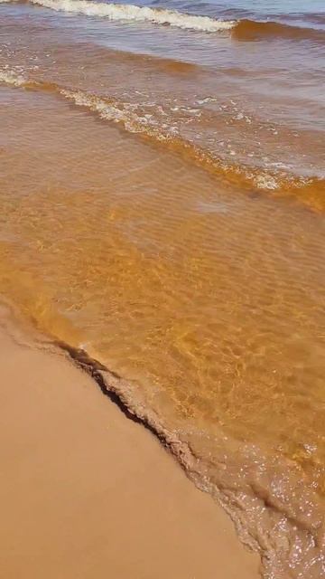 Карелия 2025. Пляжи Видлицы. Июль 2025г (Часть 12)