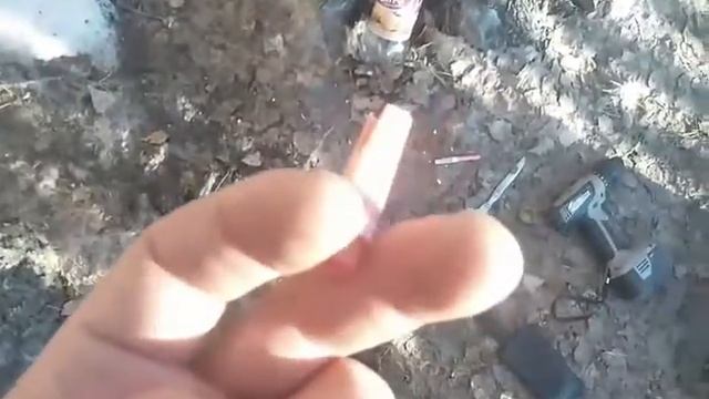 Сбор березового сока.