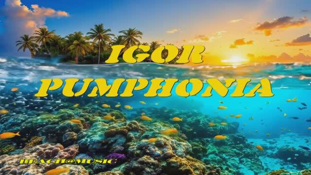 IGOR🎶🎧🎵 PUMPHONIA.🎤🎧🎼ТОЛЬКО ЛУЧШИЕ КЛИПЫ ОТ BEACH@MUSIC.