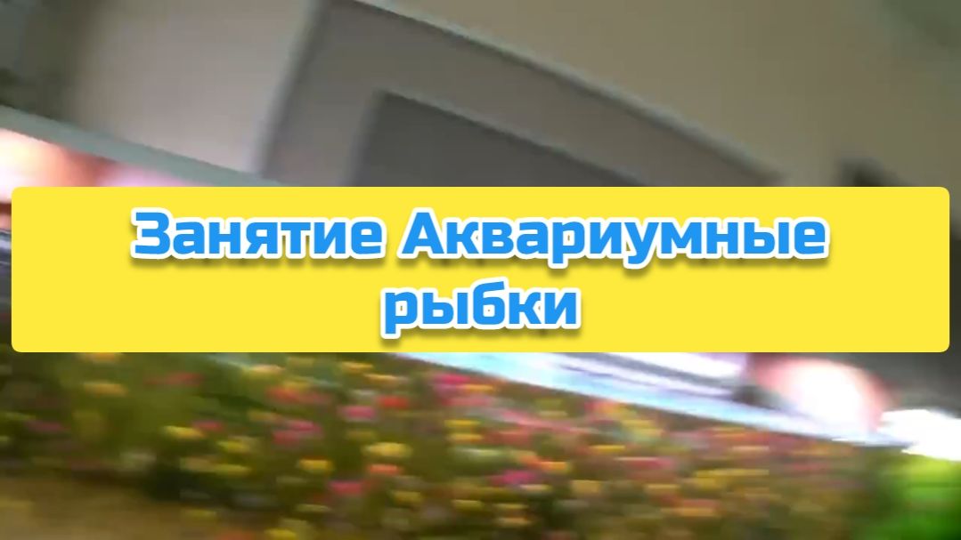 Занятие Аквариумные рыбки
