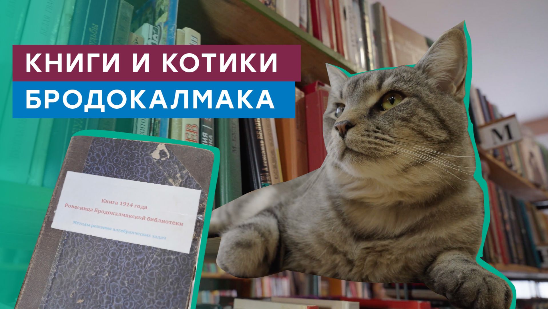 В селе Бродокалмак Челябинской области газифицирована библиотека