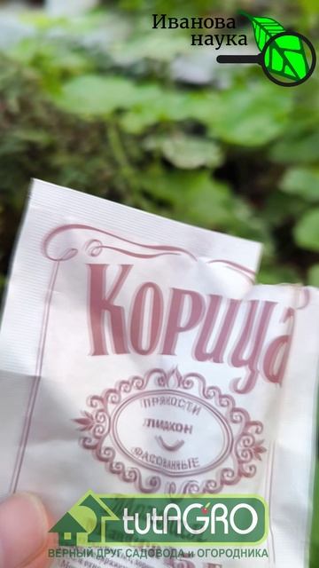 Этот порошок лучше любого удобрения!