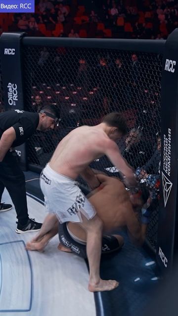 СОКРУШИТЕЛЬНОЕ колено по корпусу: Шардаков ДОСРОЧНО победил Банзаракцаева на RCC 24
