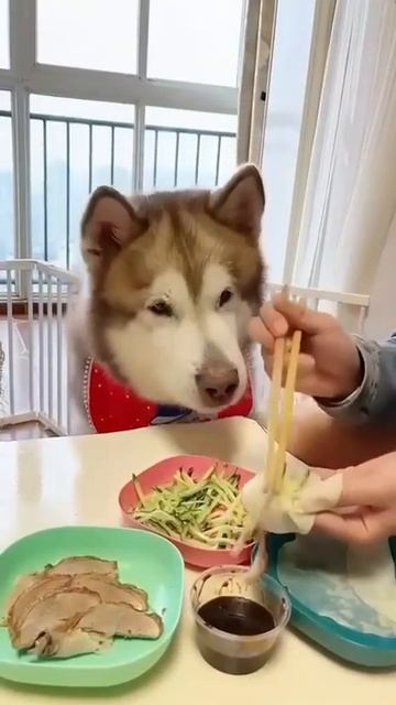 Я без соуса не ем! 😺