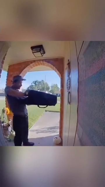 Белка 🐿️ на прогулке