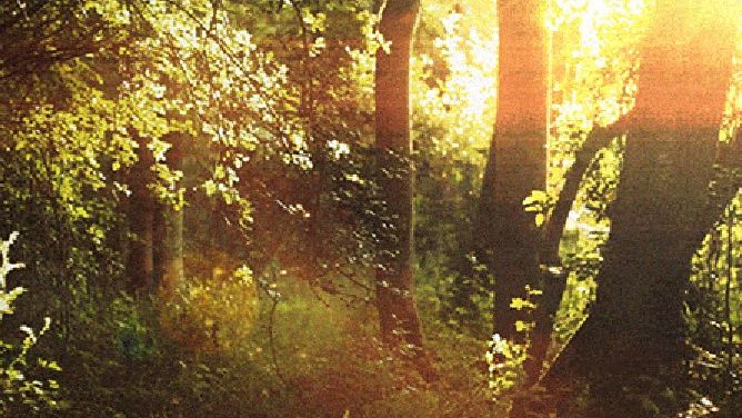 107_Сказка ГлавКоз