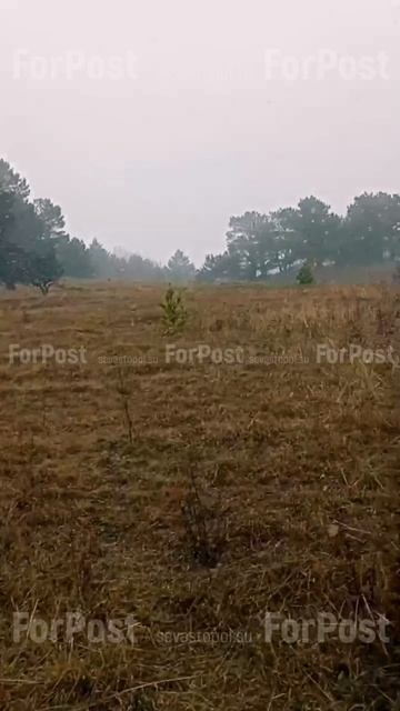 На Ай-Петри 10 декабря 2025 года выпал первый снег