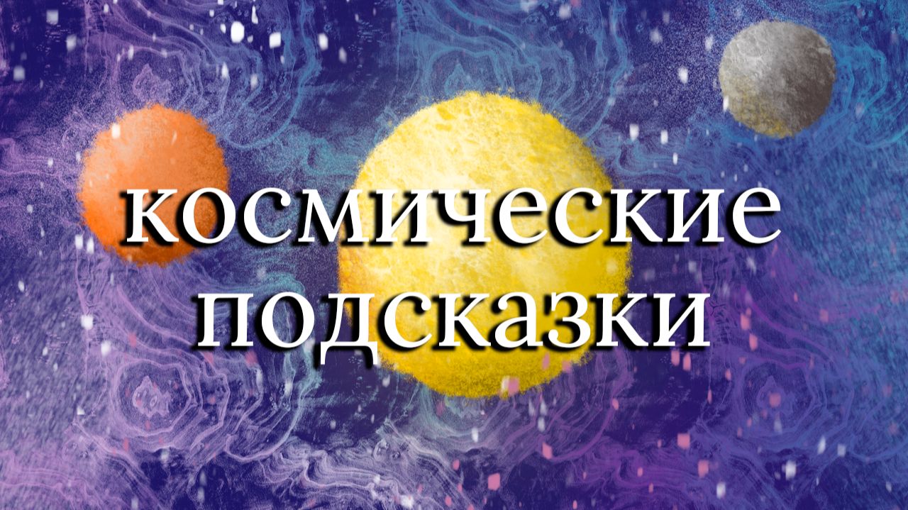 Советы Белого кота на 13 декабря 2025 г