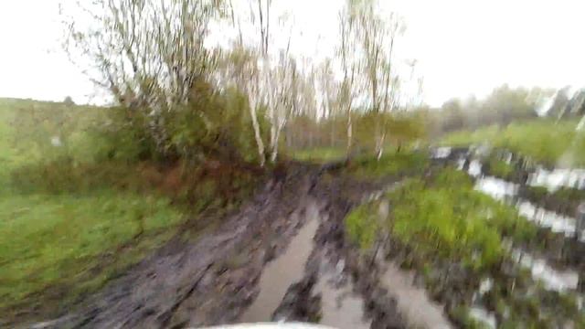 Нужно взять кровь у лошади, едем!