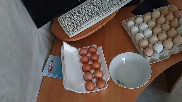 В чём различие между домашними и магазинными яйцами?